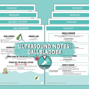 Ultrasound Abdomen Notes Sonography Student Study Guide - Etsy