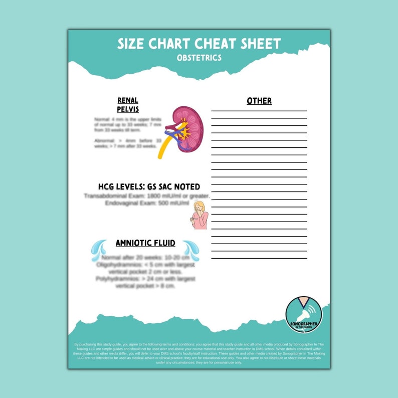 Ultrasound Student Study Notes, OB Size Chart, Sonographer, Obstetrics ...