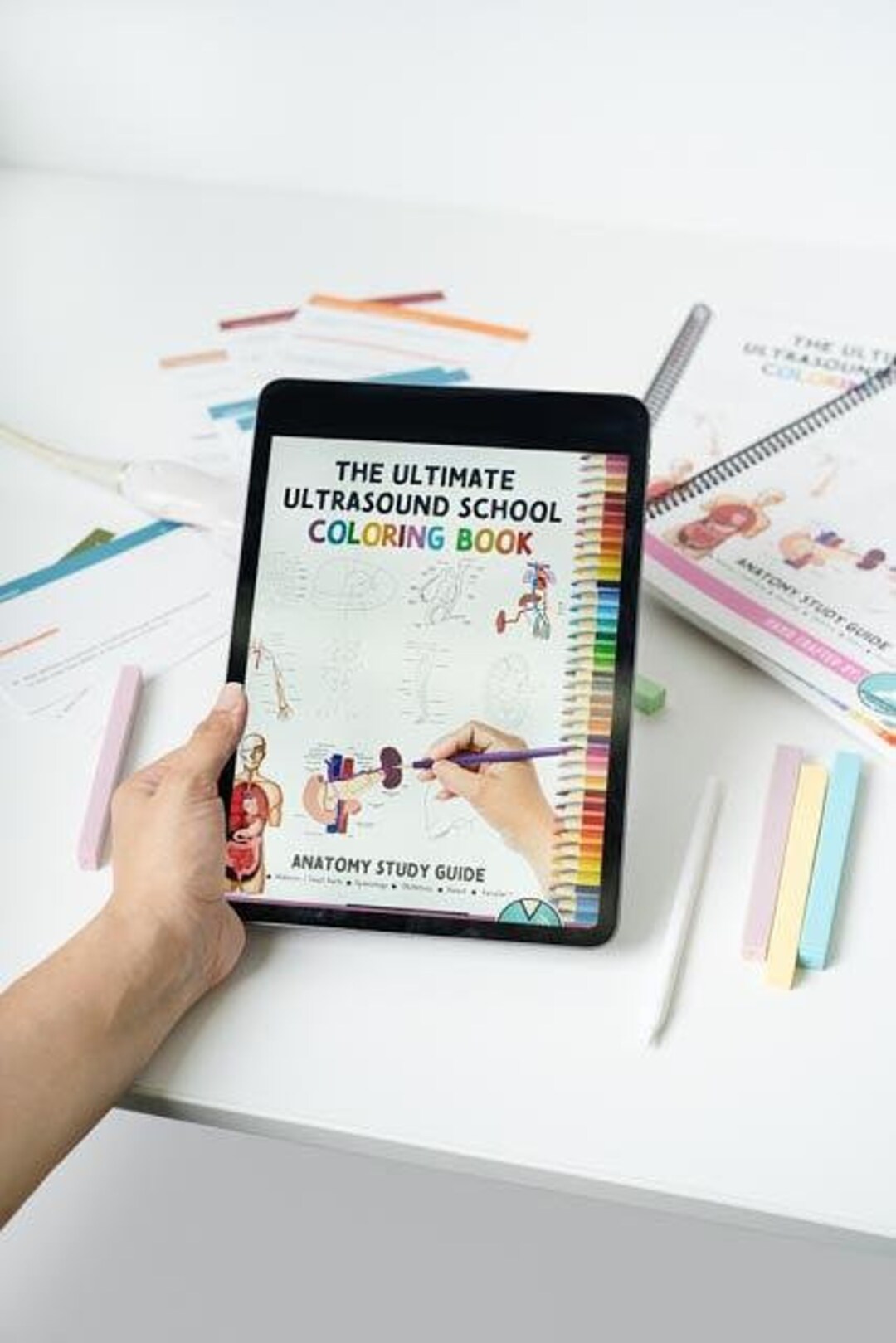 Sonography Coloring Book, Ultrasound Student Study, Ultrasound Notes ...