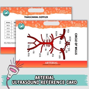 Ultrasound Badge Buddy Quick Reference Guide, Sonographer Cheat Sheet ...