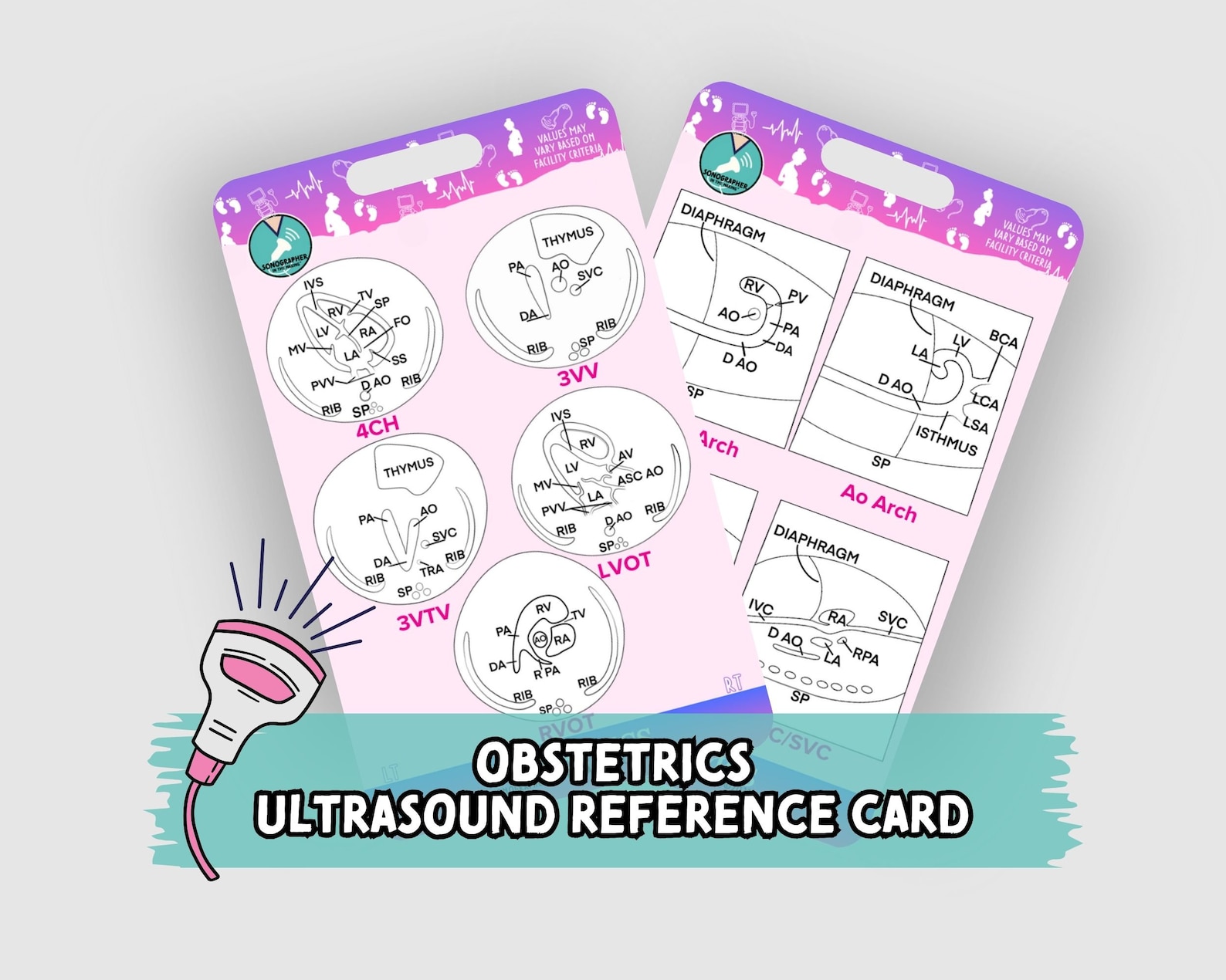 Ultrasound Badge Buddy Quick Reference Guide, Fetal Echo, Sonographer ...