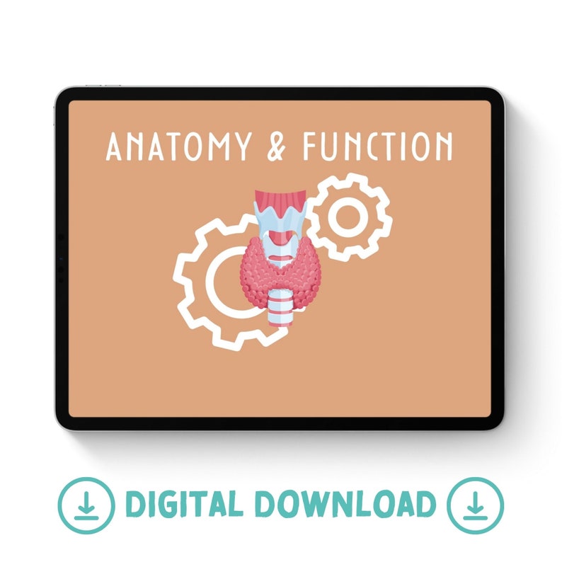 Ultrasound Tech Flashcards Study Material Ultrasound Notes - Etsy