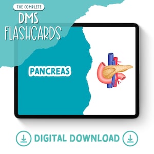 Ultrasound School Abdomen Flashcards, Ultrasound Student Study Notes ...