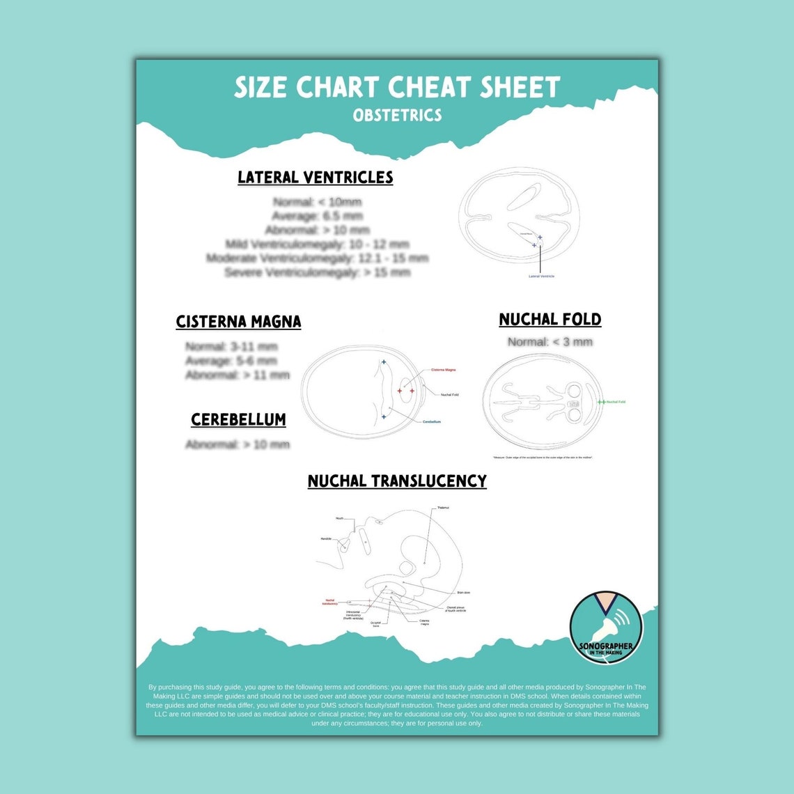 Ultrasound Student Study Notes, OB Size Chart, Sonographer, Obstetrics ...