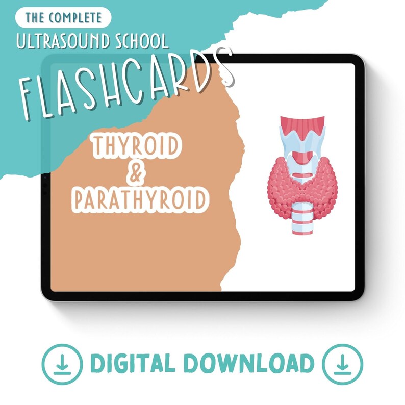 Ultrasound Tech Flashcards Study Material Ultrasound Notes - Etsy