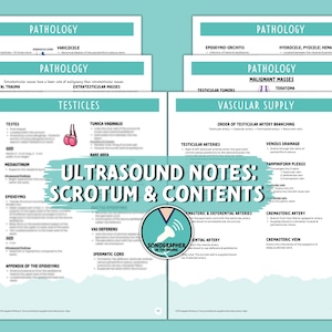 Ultrasound Abdomen Notes Sonography Student Study Guide - Etsy