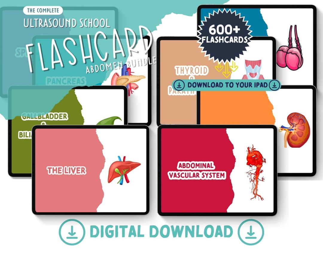 Ultrasound School Abdomen Flashcards Ultrasound Student Study - Etsy