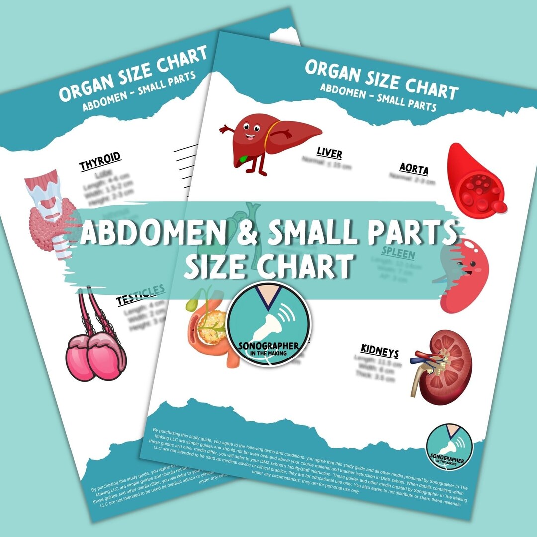 Ultrasound Study Notes, Organ Size Chart Abdomen, Ultrasound Student ...