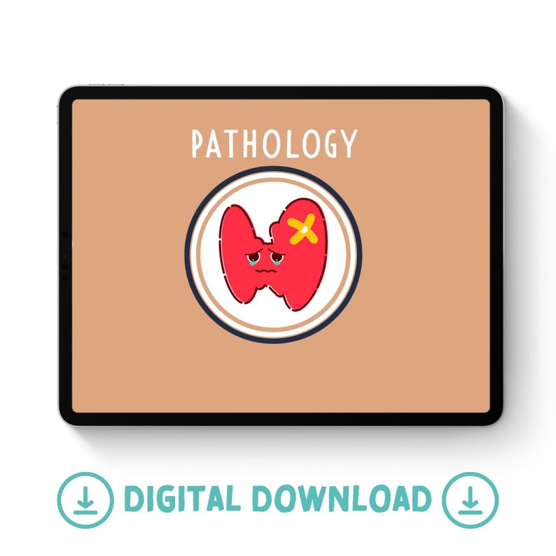 Ultrasound Tech Flashcards Study Material Ultrasound Notes - Etsy