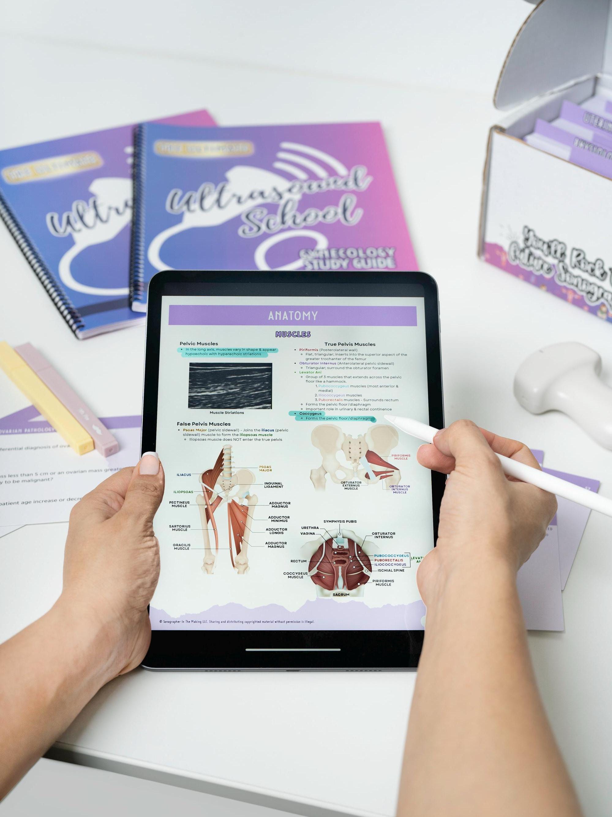 Ultrasound Gynecology Questions, Sonography Study Notes, GYN Exam ...