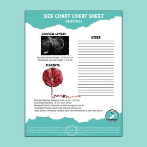 Ultrasound Student Study Notes, OB Size Chart, Sonographer, Obstetrics ...