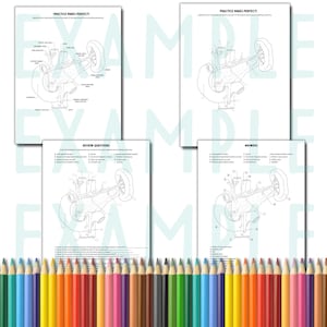 Sonography Coloring Book, Ultrasound Student Study, Ultrasound Notes ...