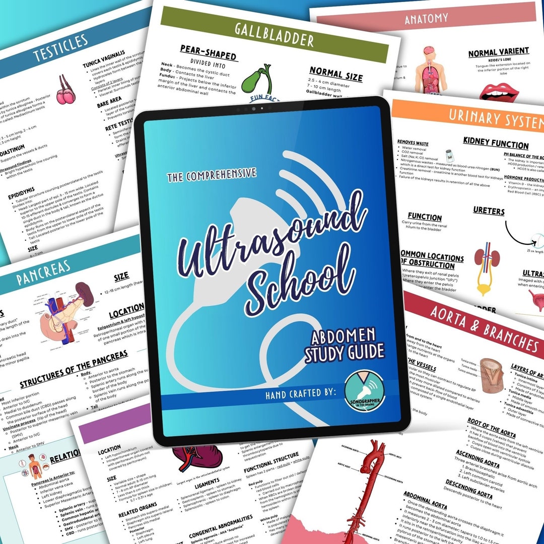 Ultrasound Abdomen Notes Sonography Student Study Guide - Etsy