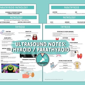 Ultrasound Abdomen Notes Sonography Student Study Guide - Etsy