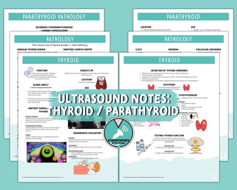 Ultrasound Abdomen Notes Sonography Student Study Guide - Etsy