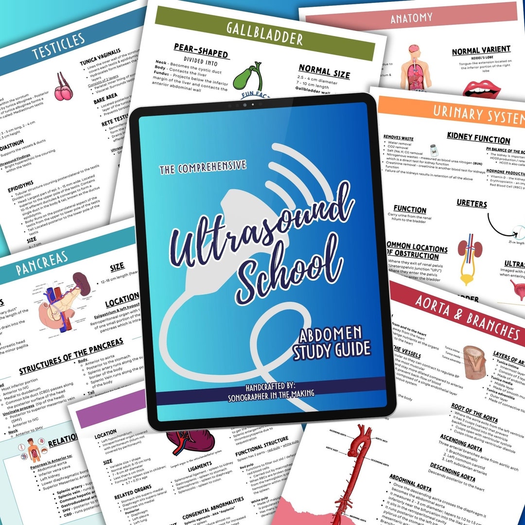 Ultrasound Abdomen Notes Sonography Student Study Guide - Etsy