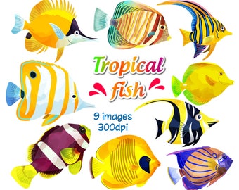 Watercolor TROPICAL FISH 2 Clipart Colorful Fish Clipart, Reef Fish ...
