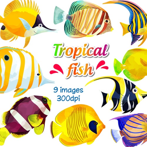 Watercolor TROPICAL FISH 2 Clipart Colorful Fish Clipart - Etsy