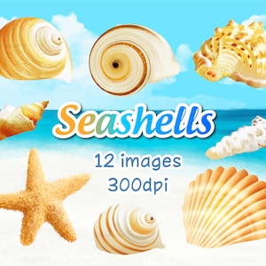 Watercolor Seashells Clipart, Starfish Clipart, Seascape Background ...