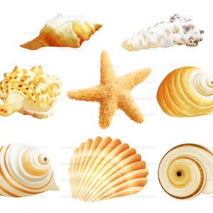 Watercolor Seashells Clipart, Starfish Clipart, Seascape Background ...