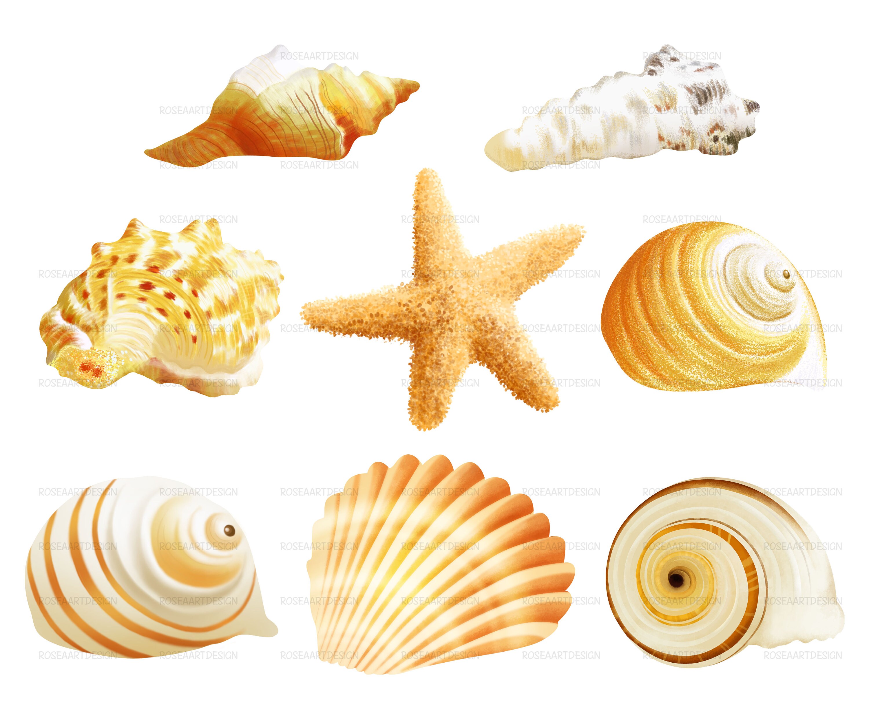 Watercolor Seashells Clipart, Starfish Clipart, Seascape Background ...