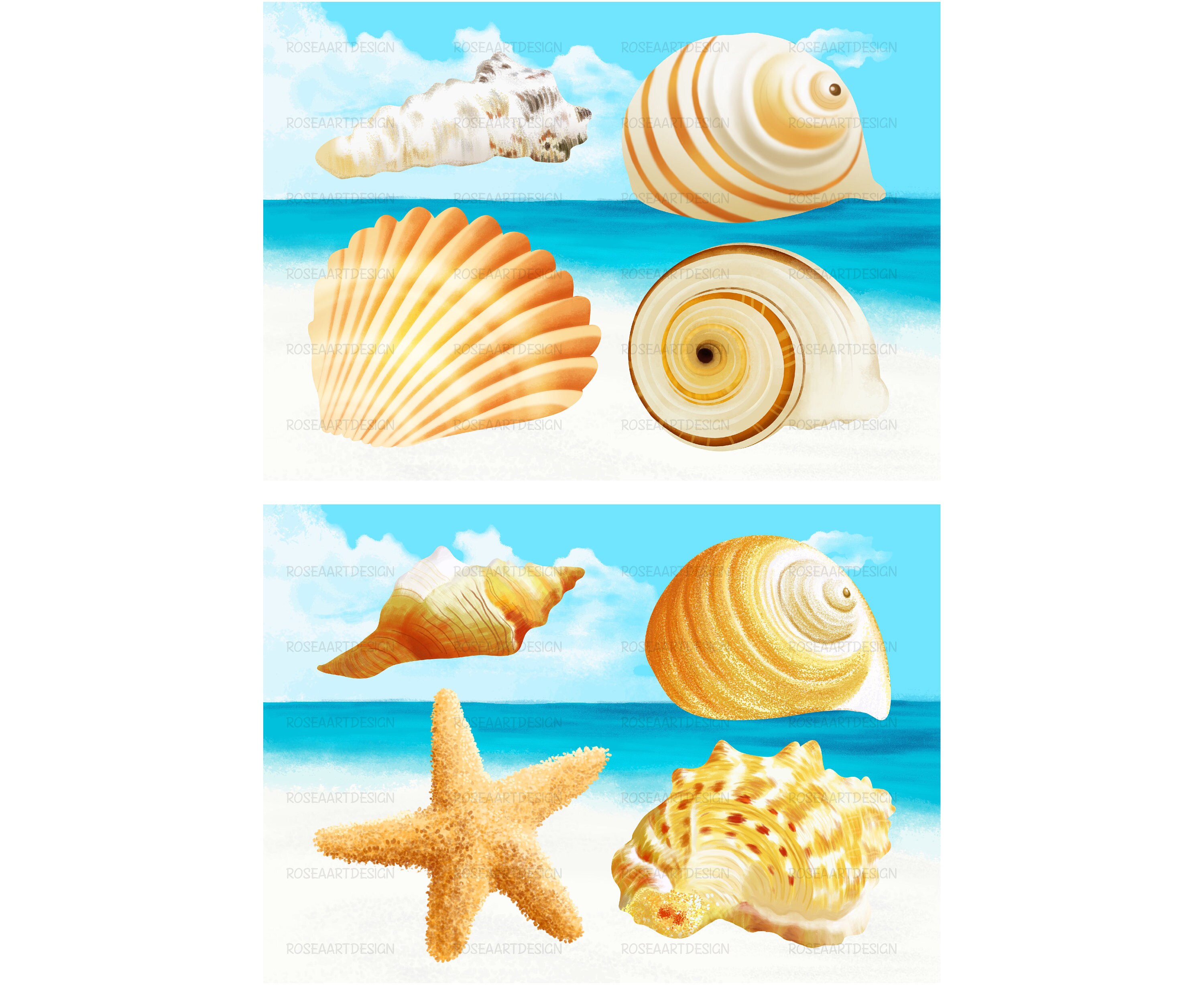 Watercolor Seashells Clipart, Starfish Clipart, Seascape Background ...