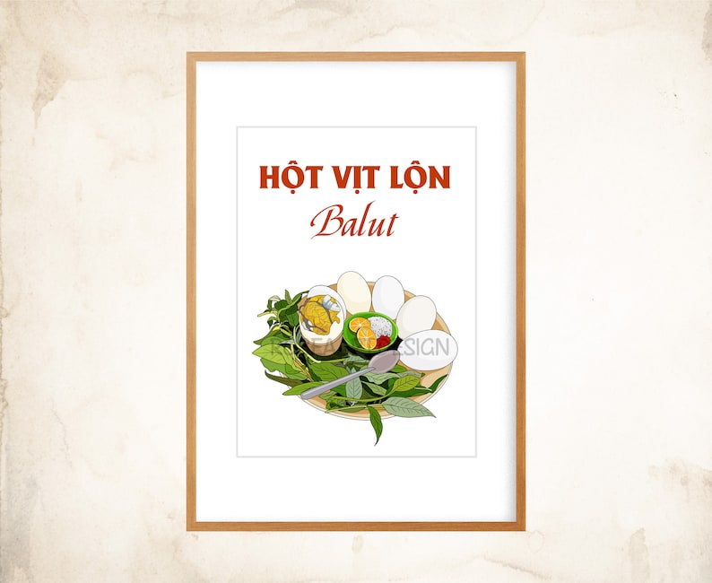 Hot Vit Lon Poster, Balut Poster, Vietnamese Cuisine, Vintage Food ...