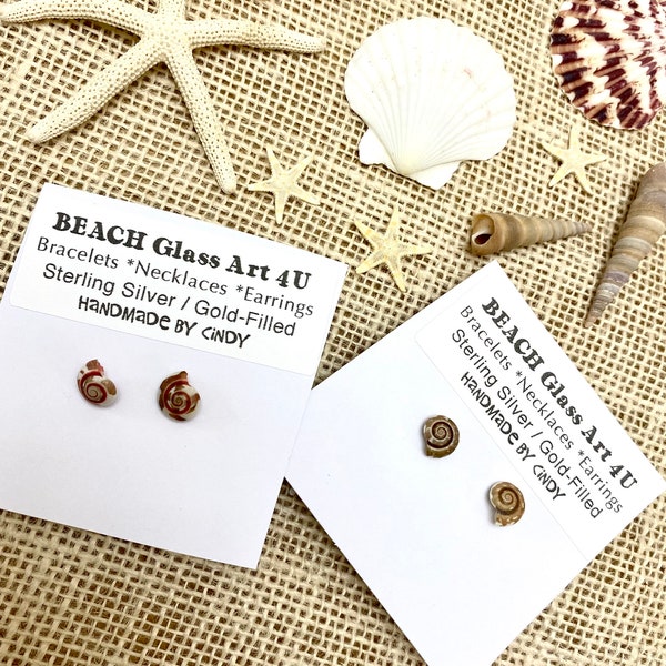 Tiny Shell Earrings - Etsy