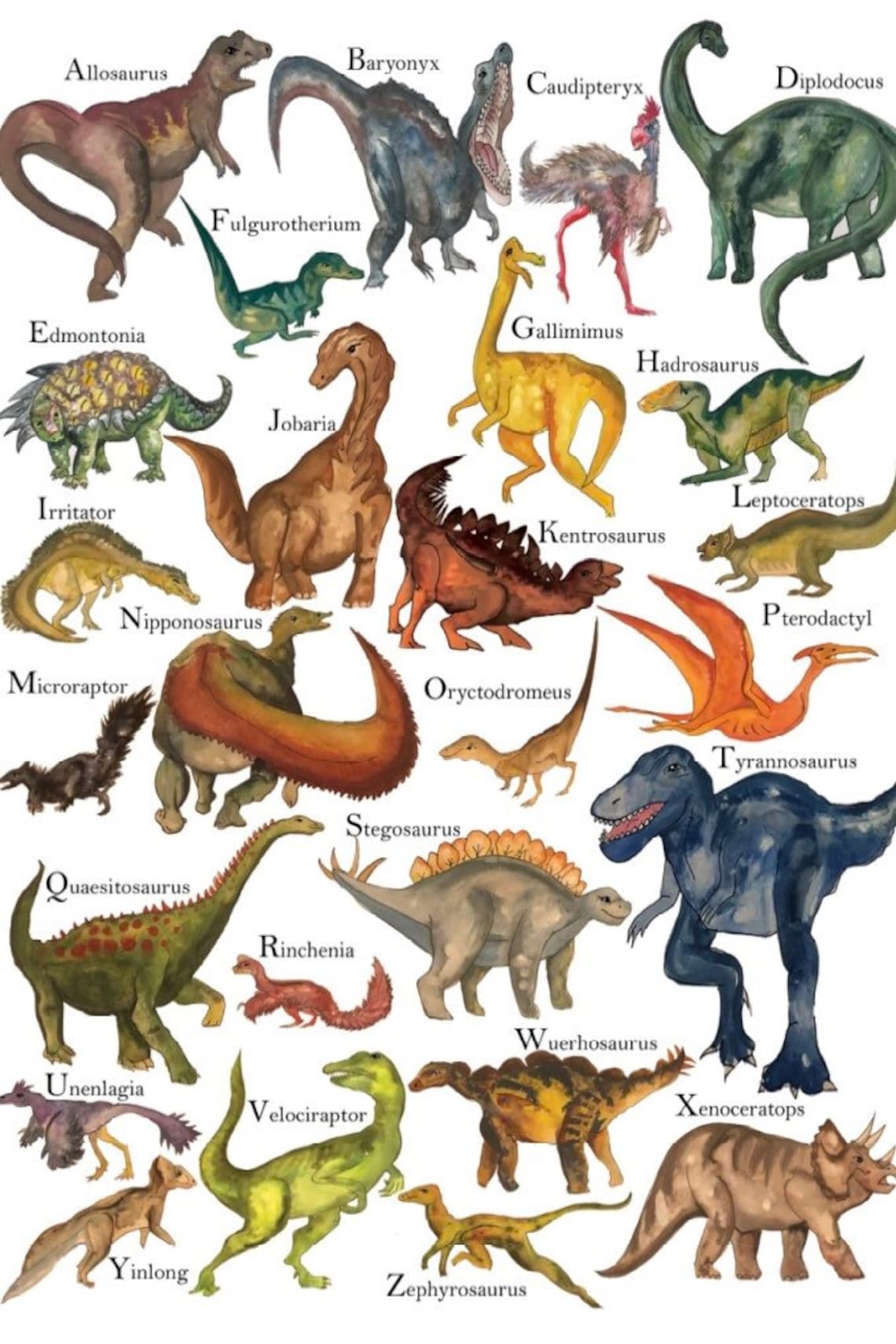 A3 Hand Illustrated A-Z of Dinosaurs From Allosaurus to Zephyrosaurus ...