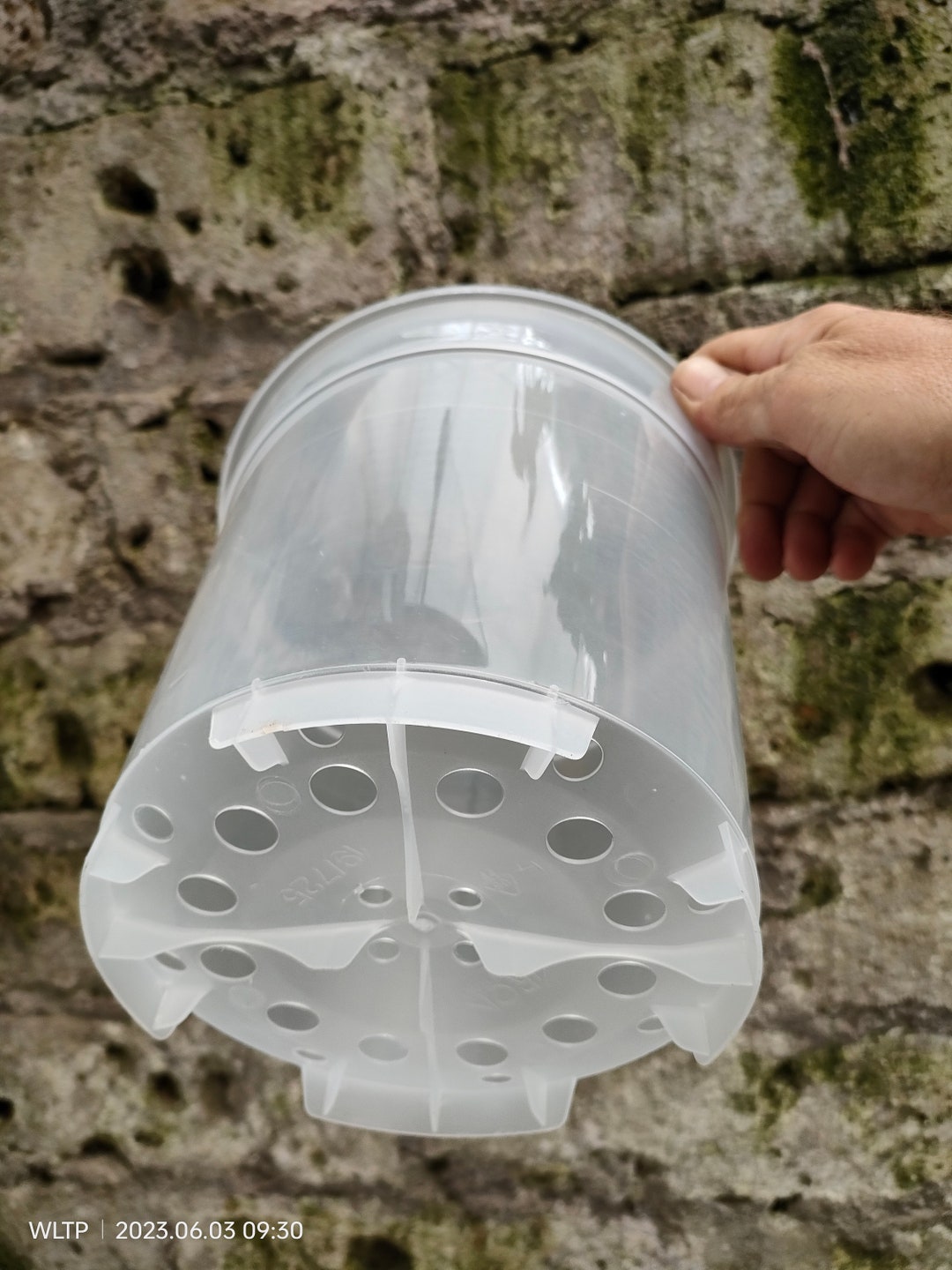 VASE 19 Cm Transparent Orchids/aroids 3 POTS / 3 VASE - Etsy