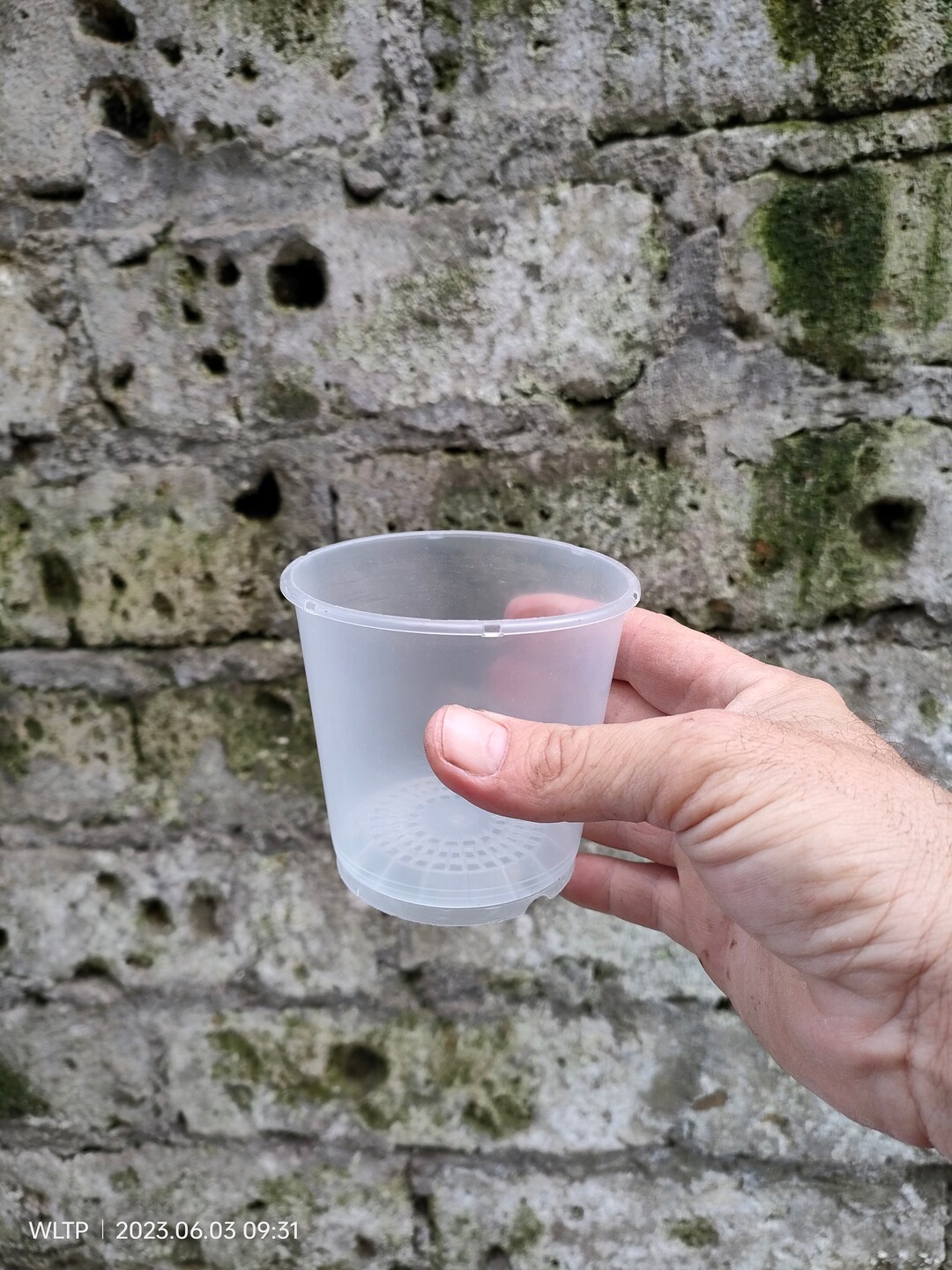 VASE 9 Transparent Orchids/aroids 5 POTS / 5 VASE - Etsy