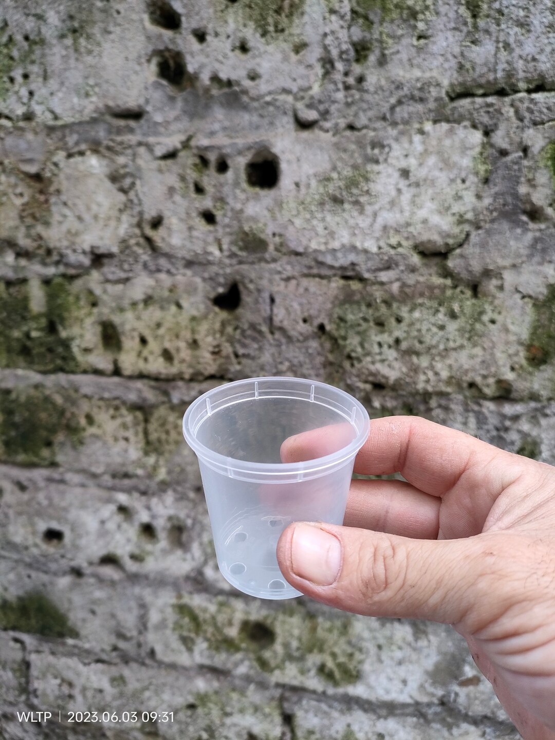 VASE 6 Transparent Orchids/aroids 10 POTS / 10 VASE - Etsy