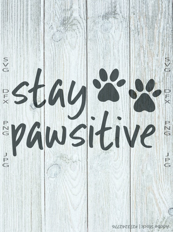 Stay Pawsitive DIGITAL FILES Svg Dfx Png Jpg - Etsy