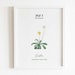 MBTI Introvert Flower Art Prints Bundle, Infj Infp Intj Intp Isfj Istj ...