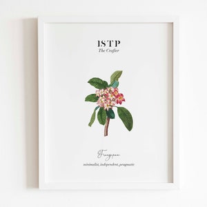 ISTP Art Print, MBTI Gifts, Frangipani Art Print, Vintage Floral Print ...