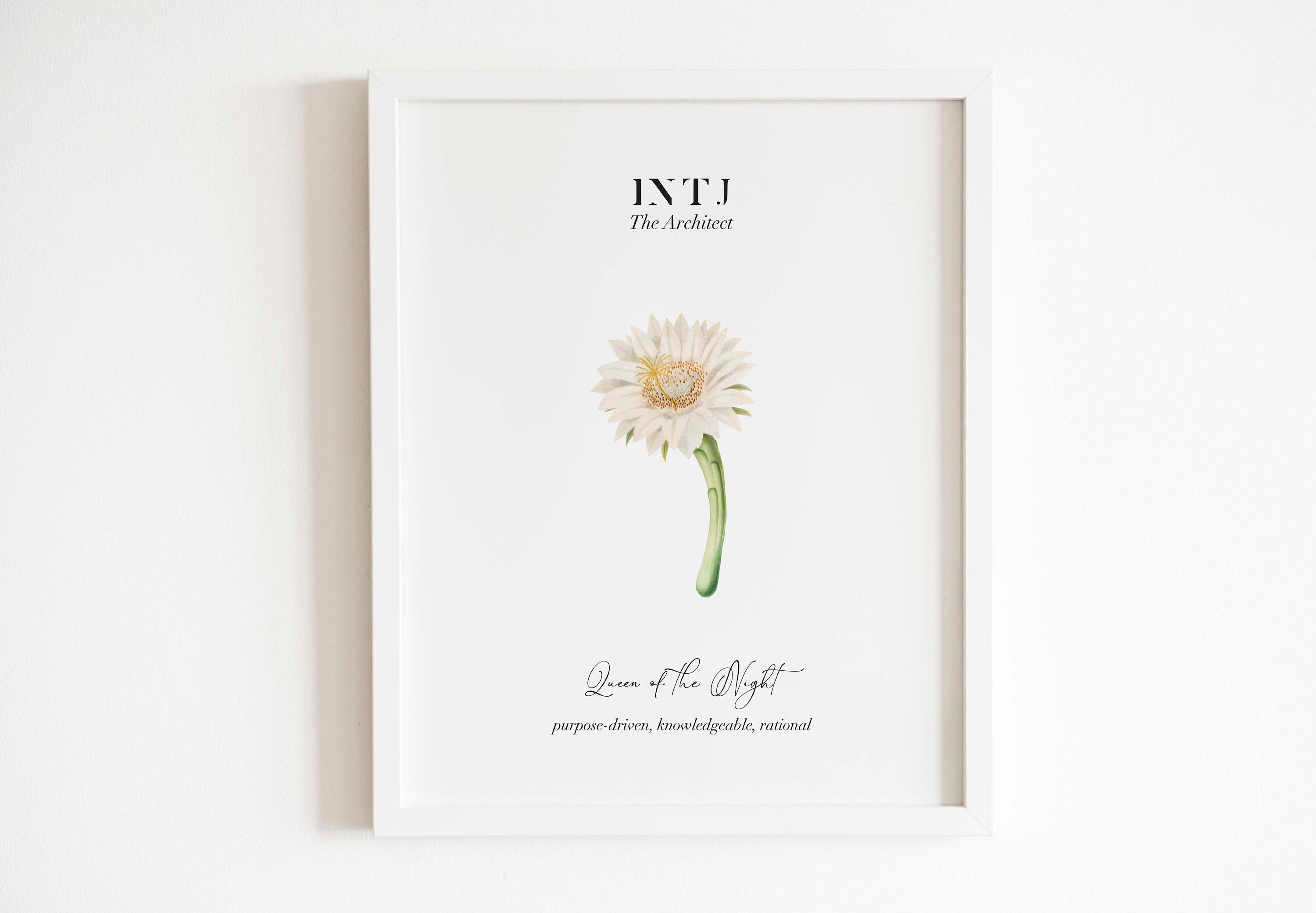 MBTI Introvert Flower Art Prints Bundle, Infj Infp Intj Intp Isfj Istj ...