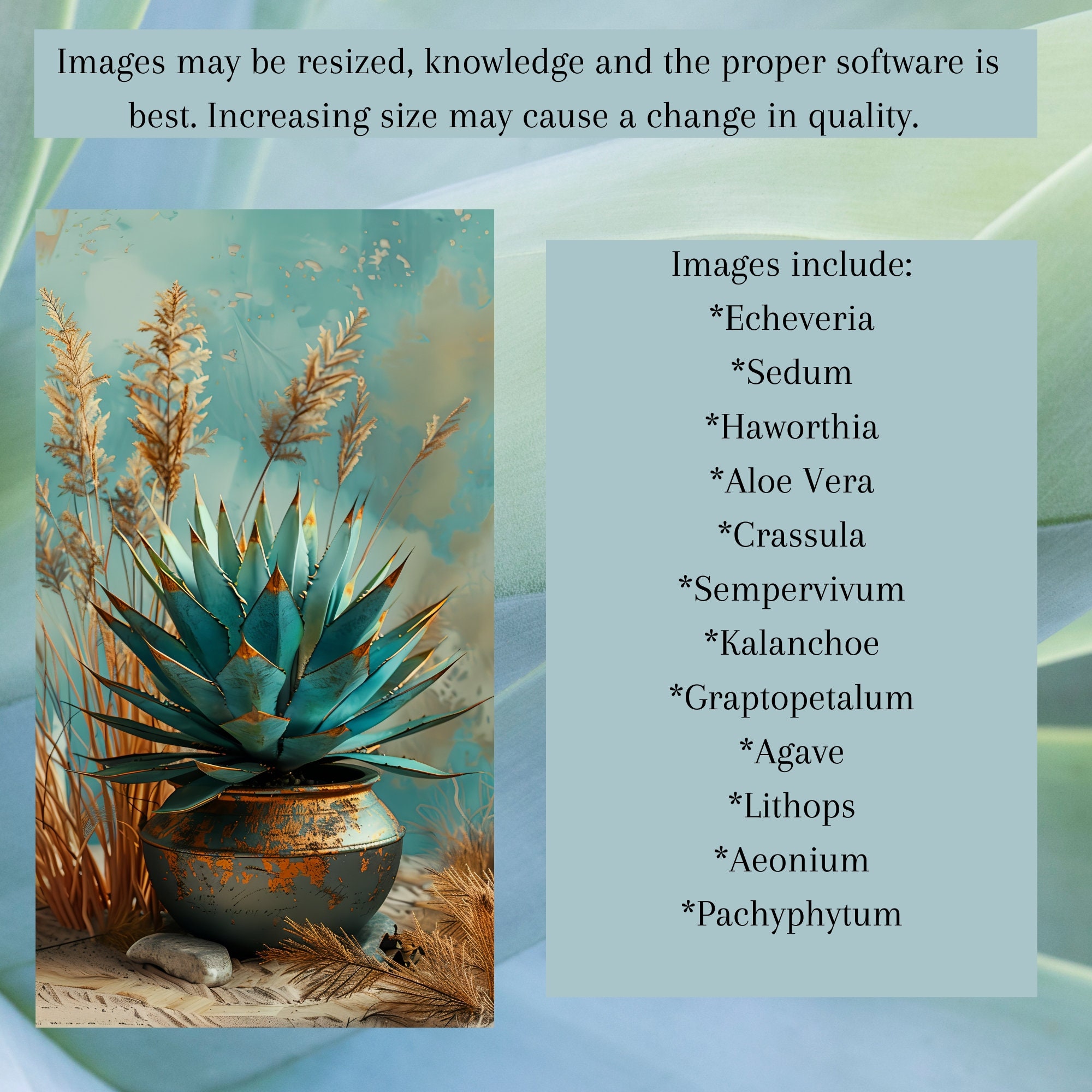 Succulent Plant Cacti Scenery Sublimation Phone Case Bundle Template ...