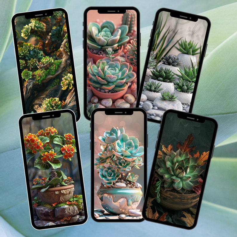 Succulent Plant Cacti Scenery Sublimation Phone Case Bundle Template ...