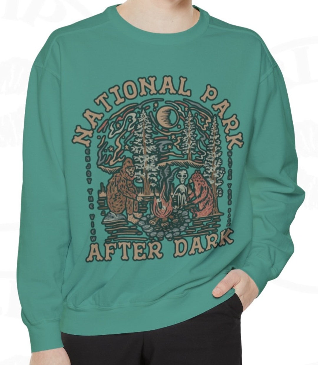 National Park After Dark Comfort Colors 1717 Sweatshirt, Funny Nature ...