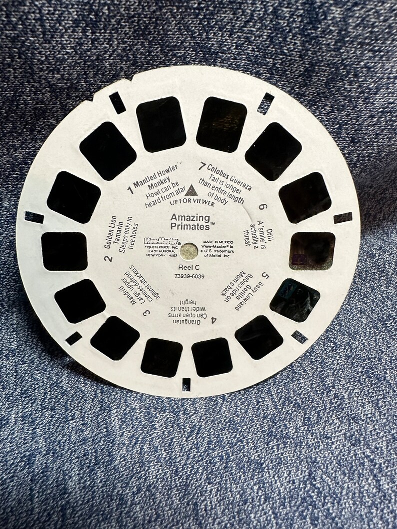 View Master Discovery Channel Amazing Primates Reel C - Etsy