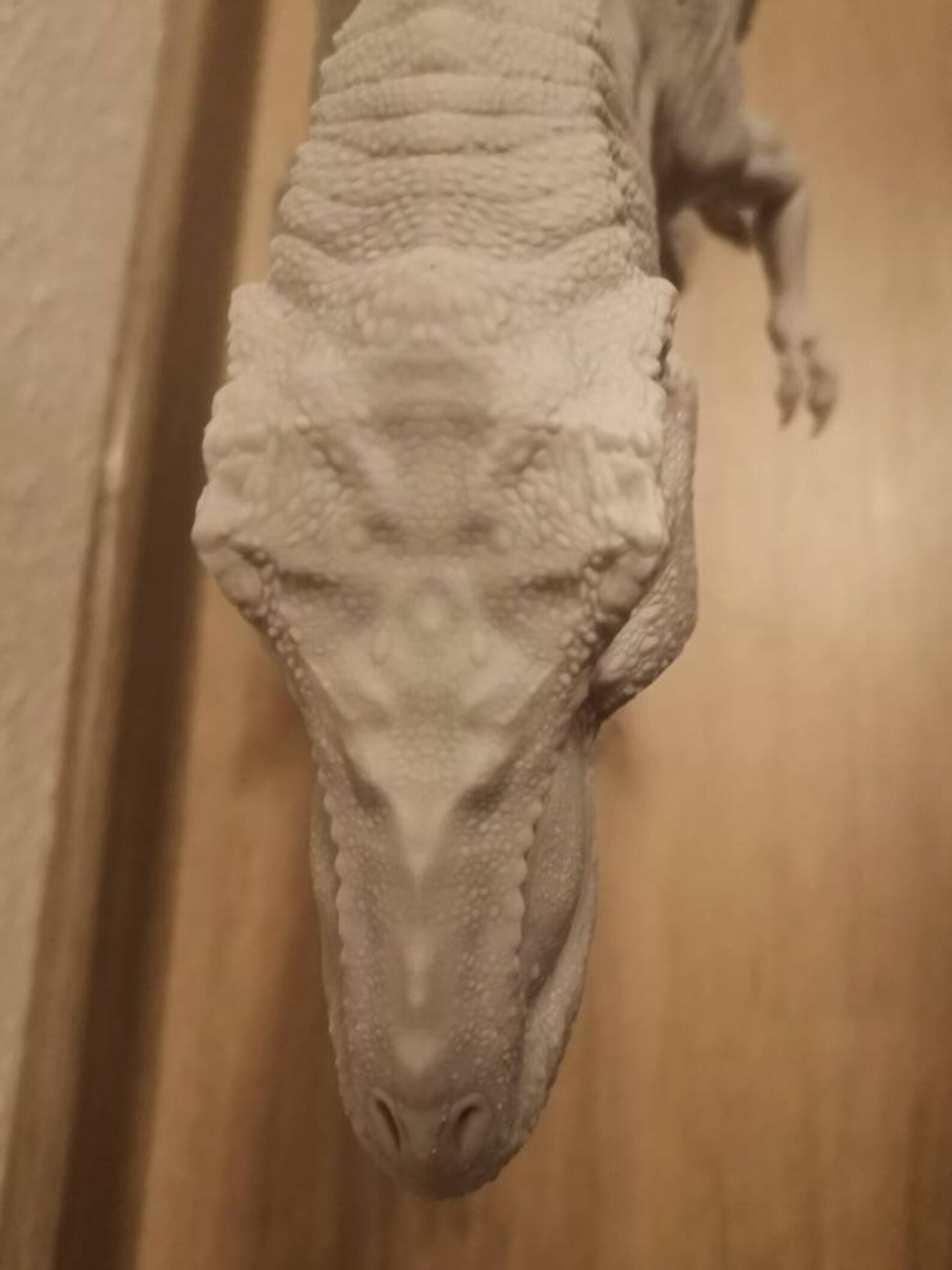 Jurassic Park 1:5 T-rex Maquette Statue - Etsy