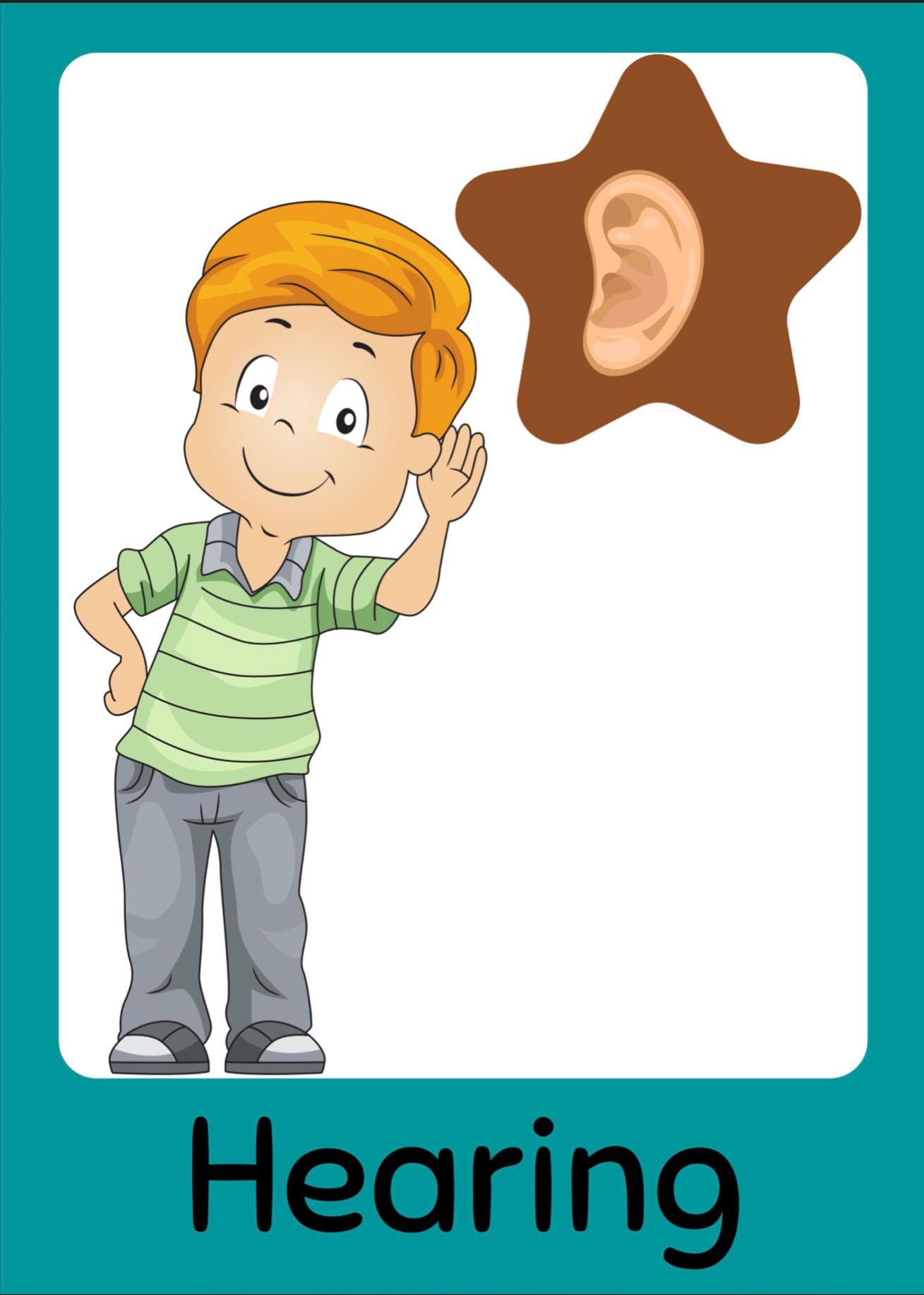 5 Senses PDF Flashcards for Kids!!! - Etsy