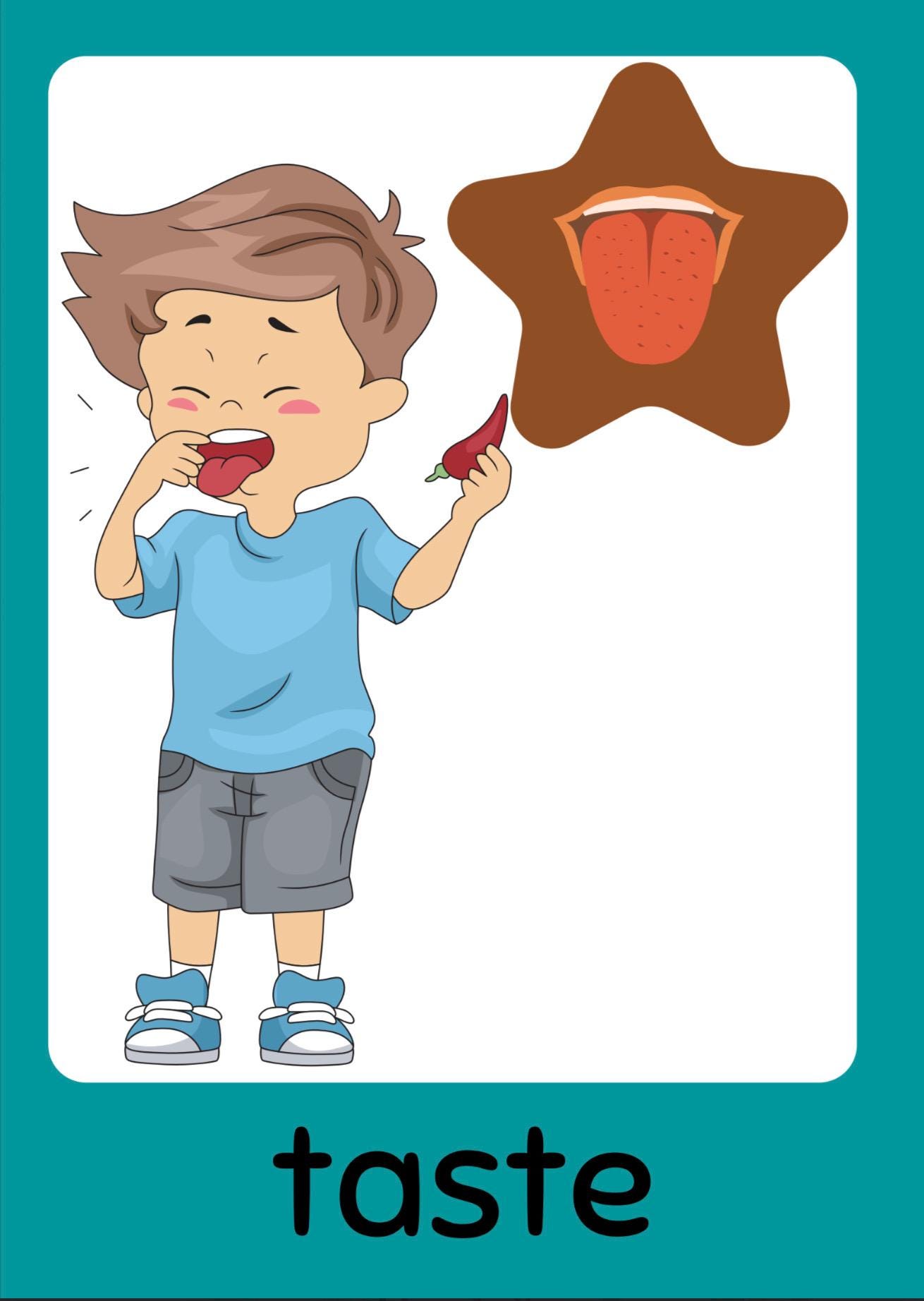 5 Senses PDF Flashcards for Kids!!! - Etsy