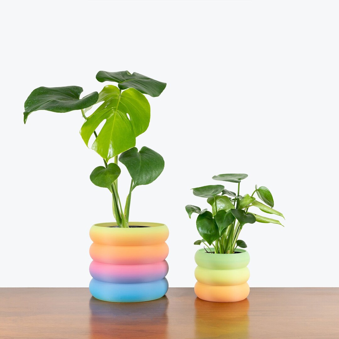 Rainbow Planter Pride Planter 3D Printed Planter Eco Friendly Planter ...