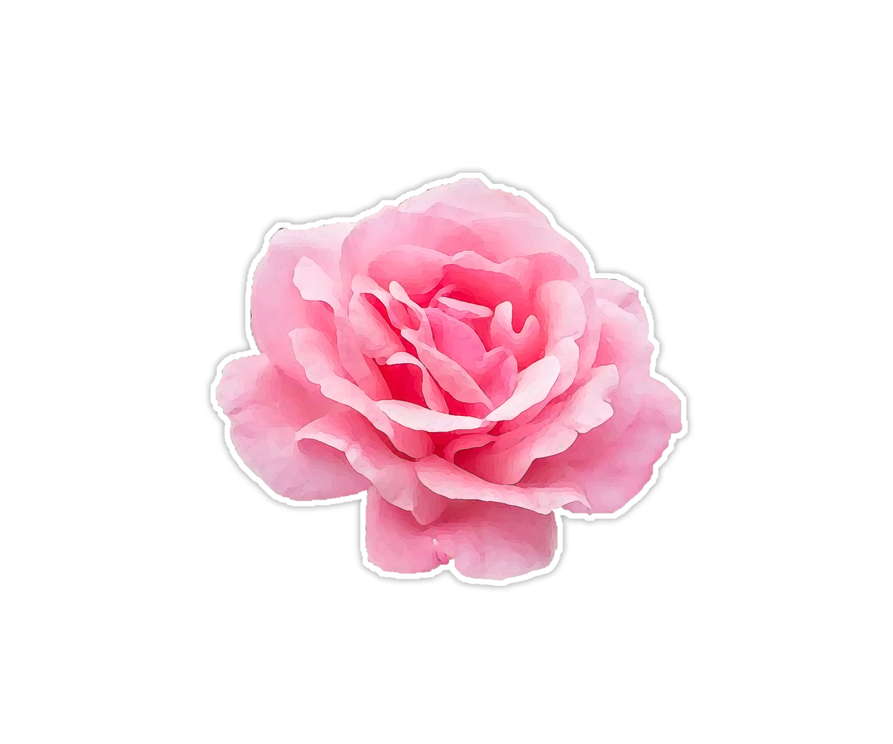 Pink Rose Sticker, Flower Vinyl Sticker, Flower Stickers, Water ...