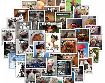 Dog Meme Sticker Pack - Etsy