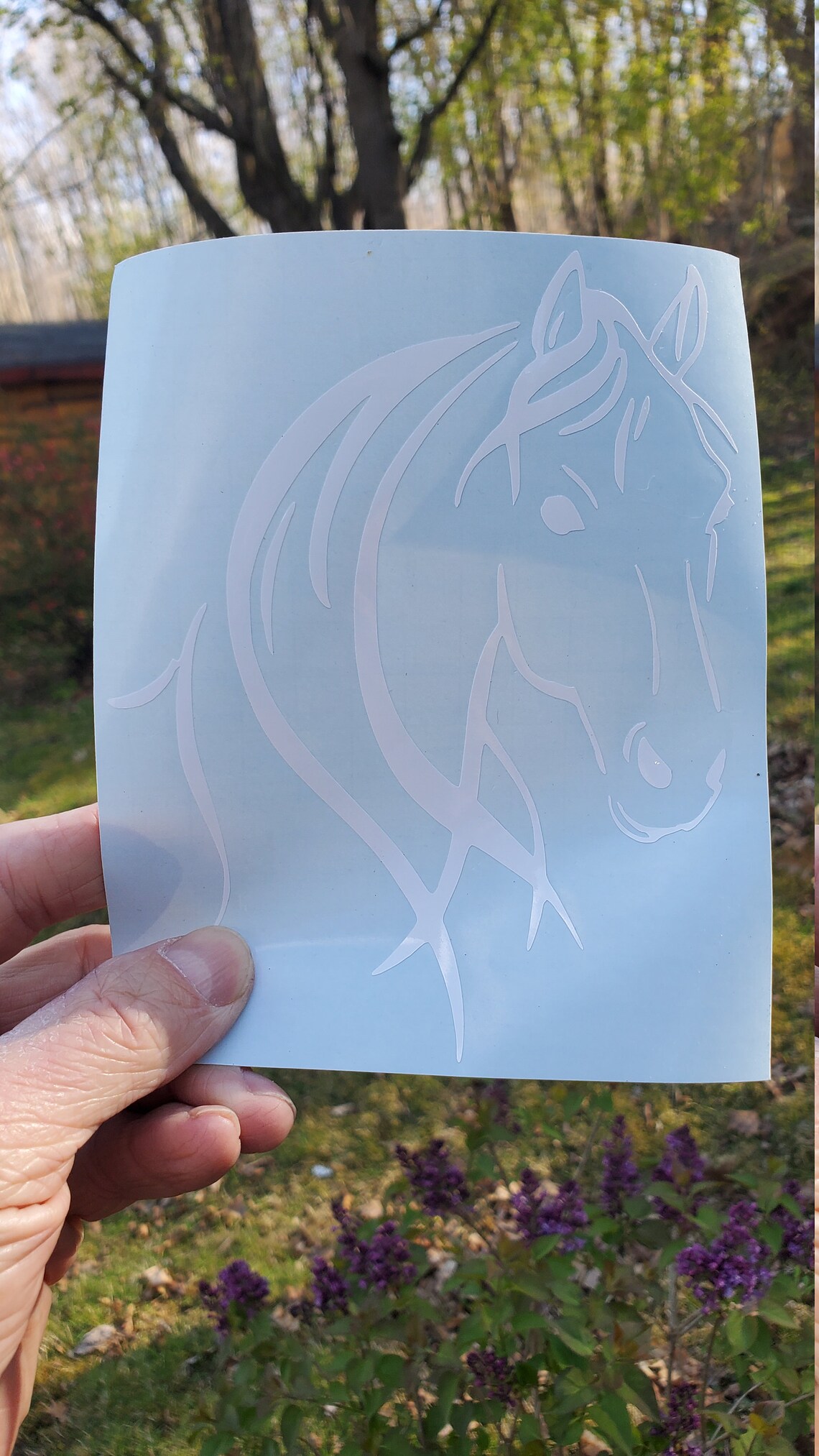 Horse Decal Vinyl Decal Horse Sticker Horse Decal Window - Etsy