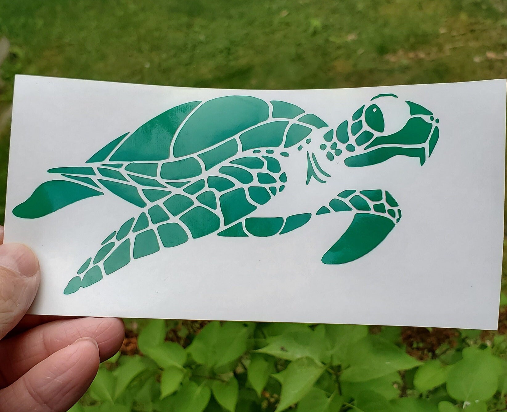 Sea Turtle Vinyl Decal Turtle Decal Turtle Sticker Car - Etsy