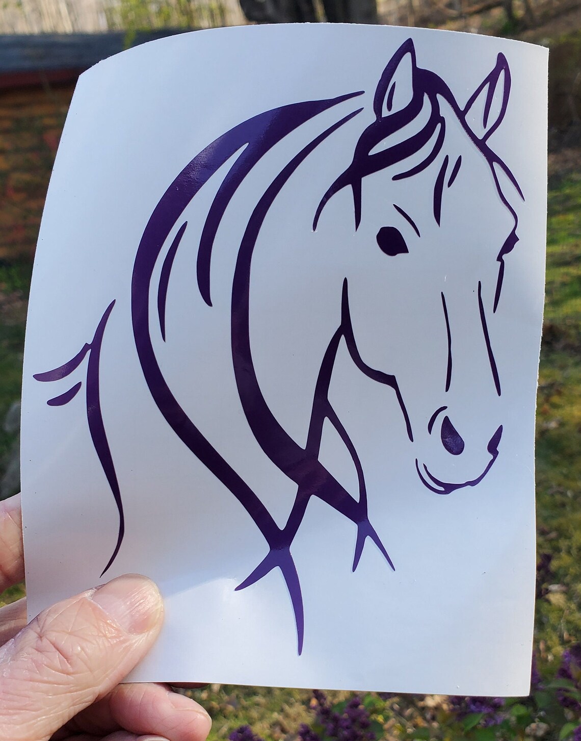 Horse Decal Vinyl Decal Horse Sticker Horse Decal Window - Etsy
