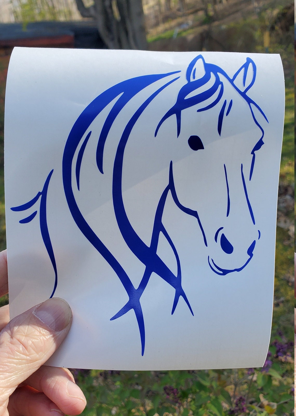 Horse Decal Vinyl Decal Horse Sticker Horse Decal Window - Etsy